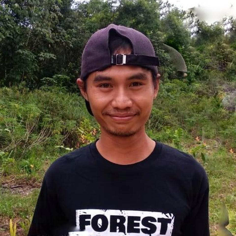 Forestwise - About us